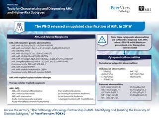 The Pathology–Oncology Partnership in AML: Identifying and Treating the ...