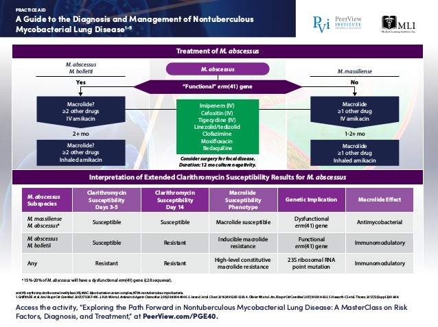 Exploring the Path Forward in Nontuberculous Mycobacterial Lung Disea…
