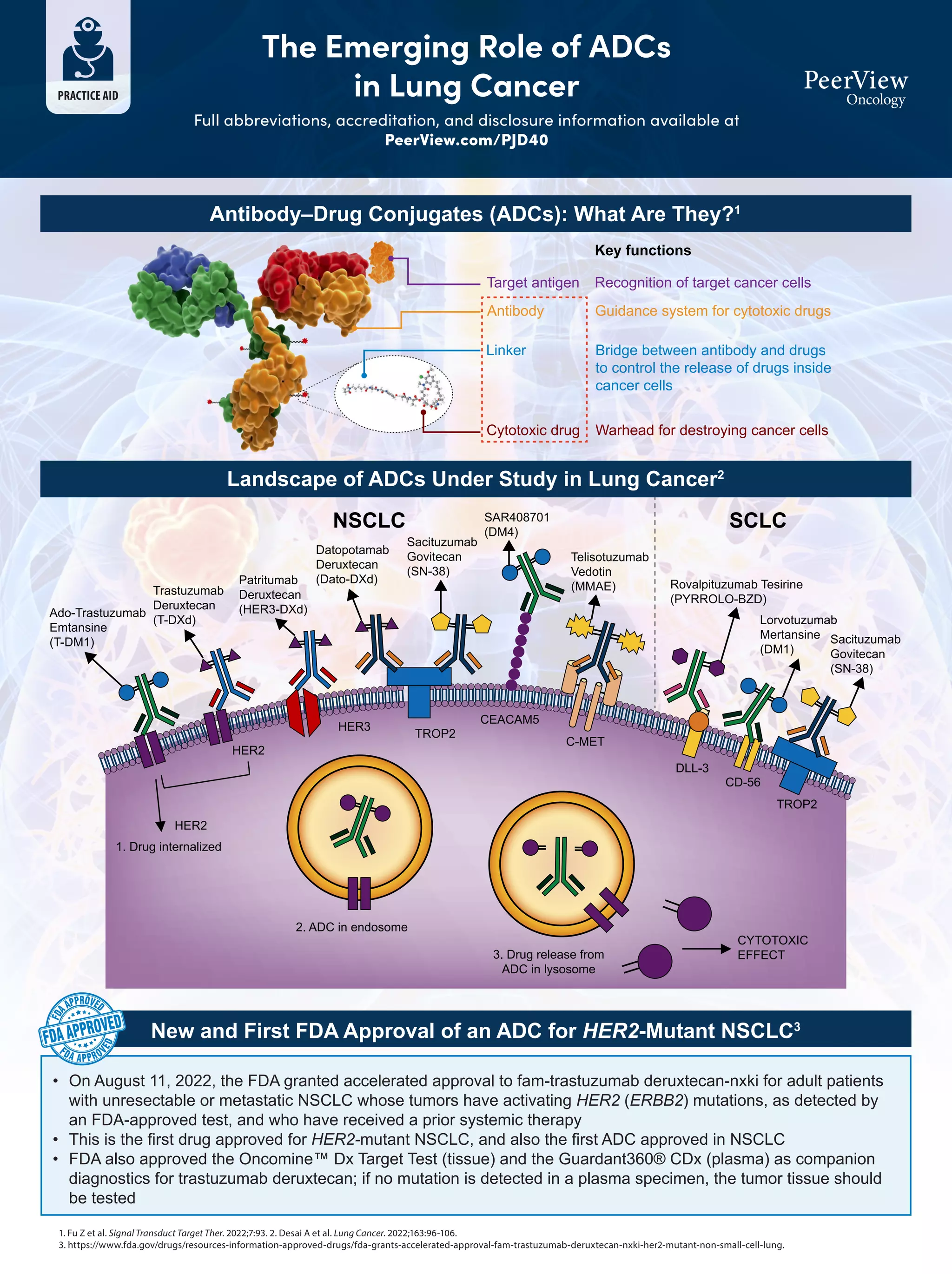 Peer Pressure: How Well Do You Know Your ADCs? Answers to Key Questions About Antibody–Drug ...