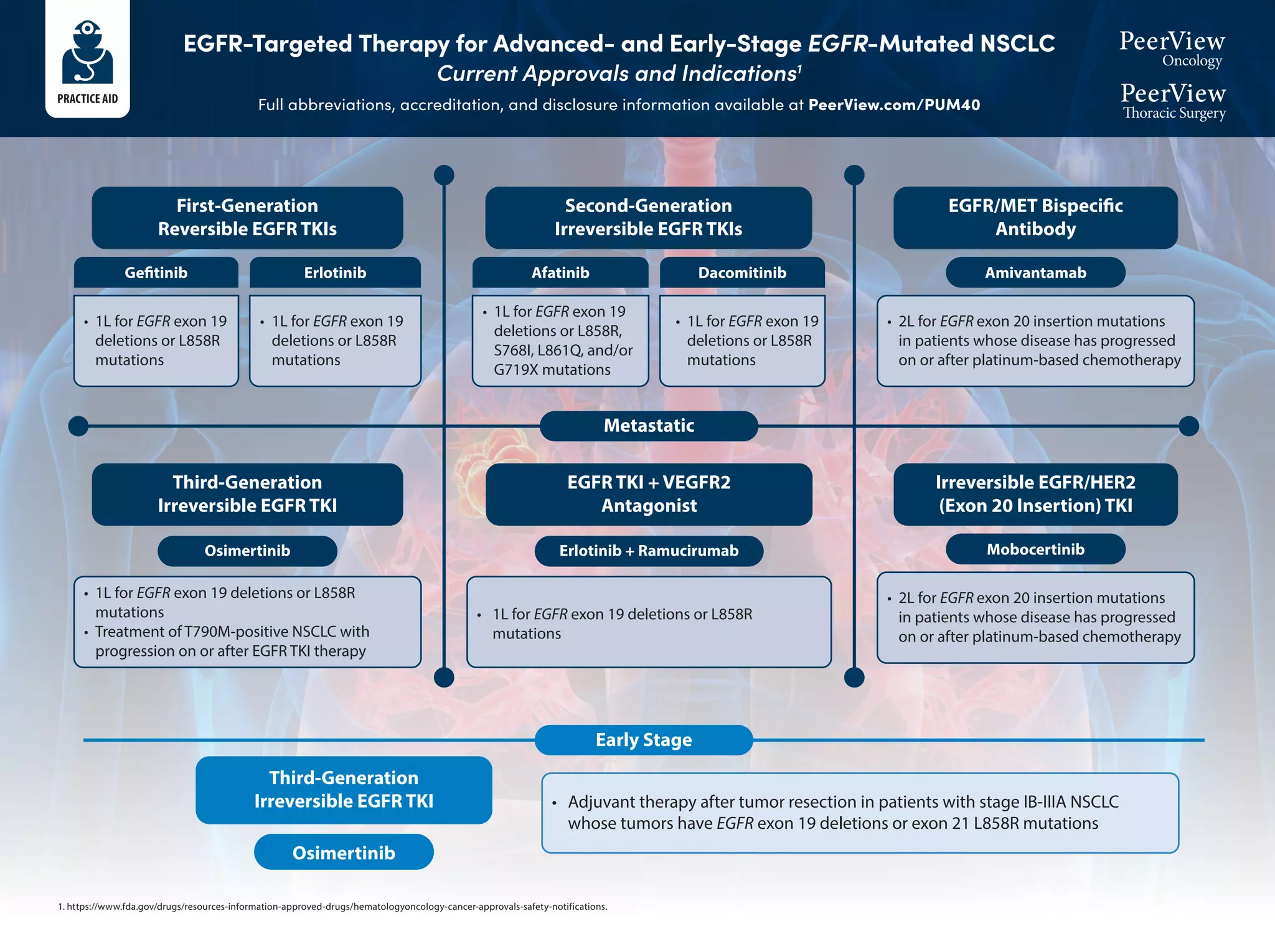 Bringing Precision Lung Cancer Care to the Perioperative Space: How to ...