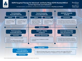 Bringing Precision Lung Cancer Care to the Perioperative Space: How to ...