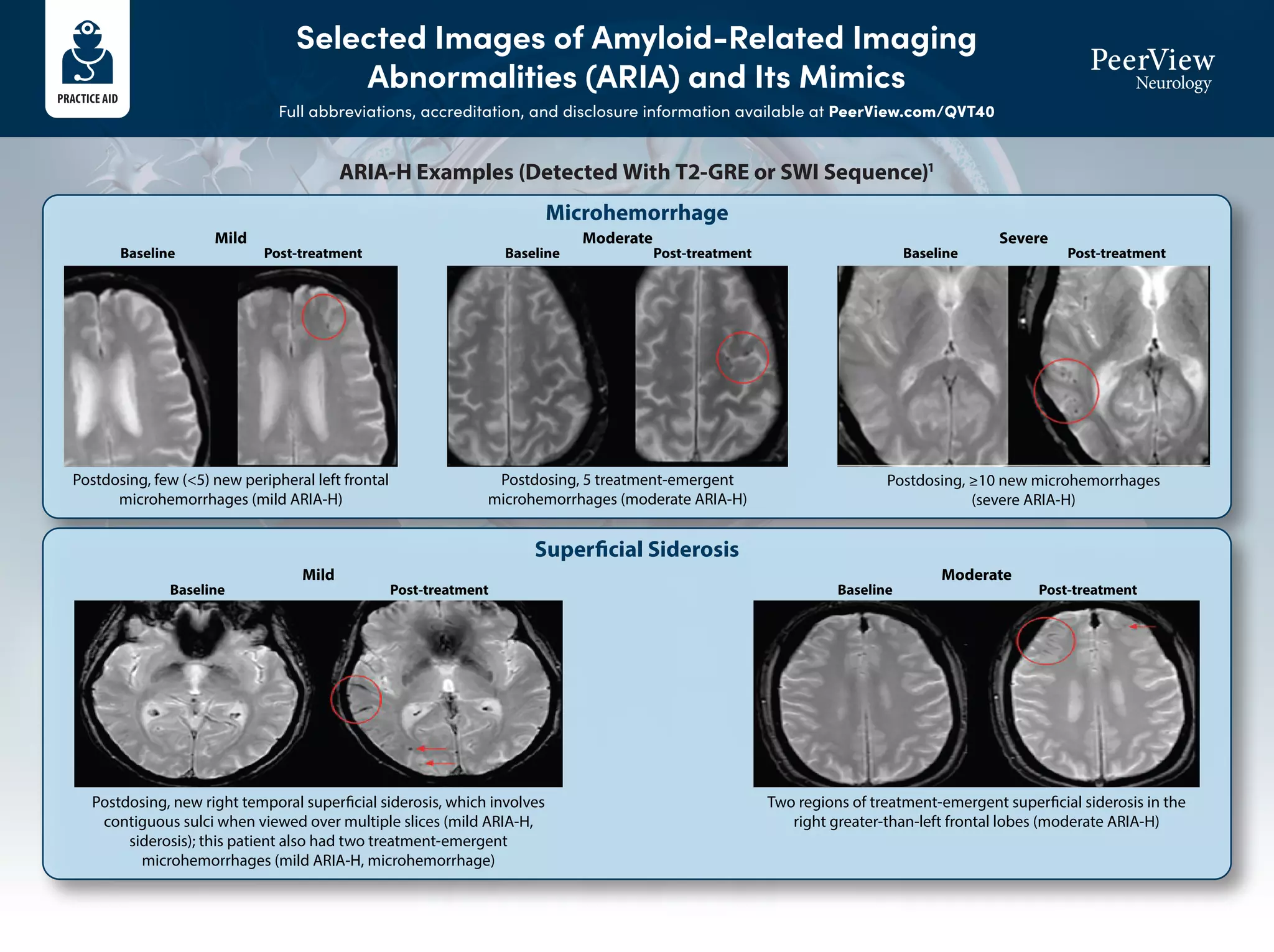 Case by Case: Actioning Patient-Centered Strategies for Risk Assessment ...