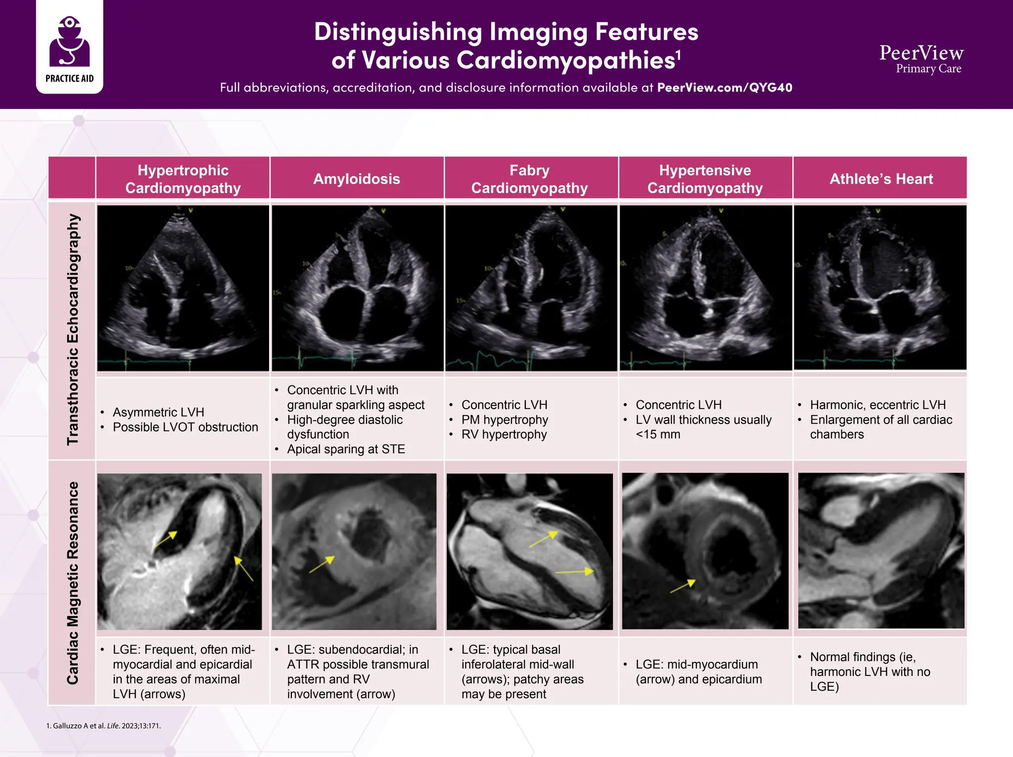 Calling Primary Care Partners to Action in Hypertrophic Cardiomyopathy ...
