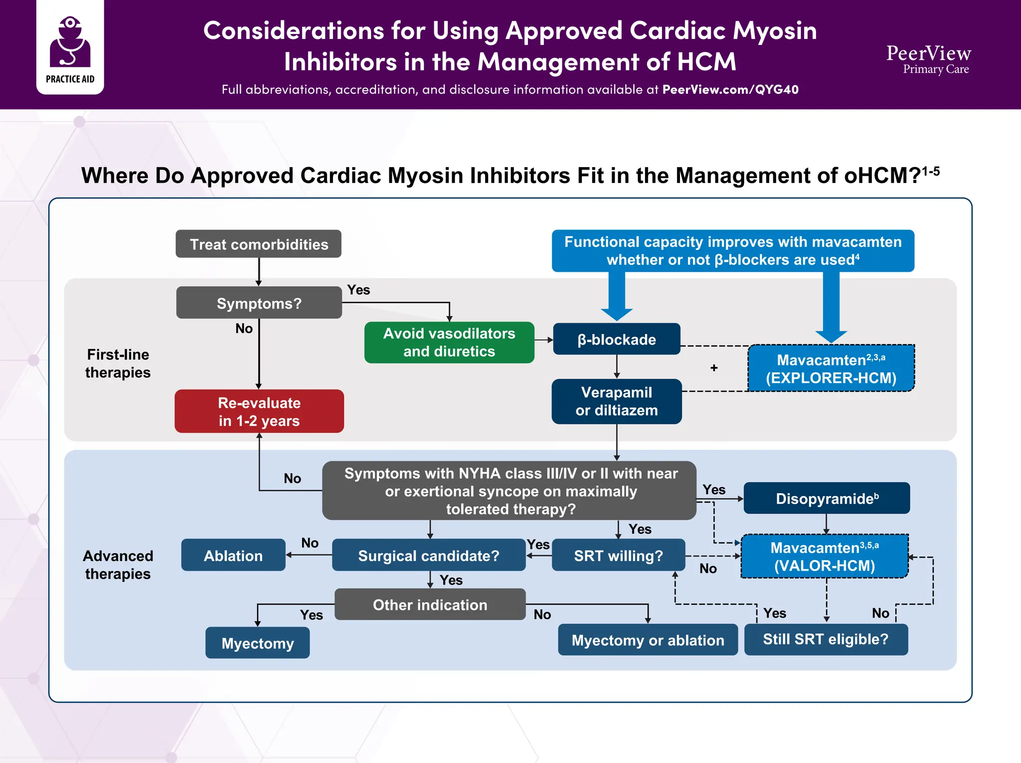 Calling Primary Care Partners to Action in Hypertrophic Cardiomyopathy ...