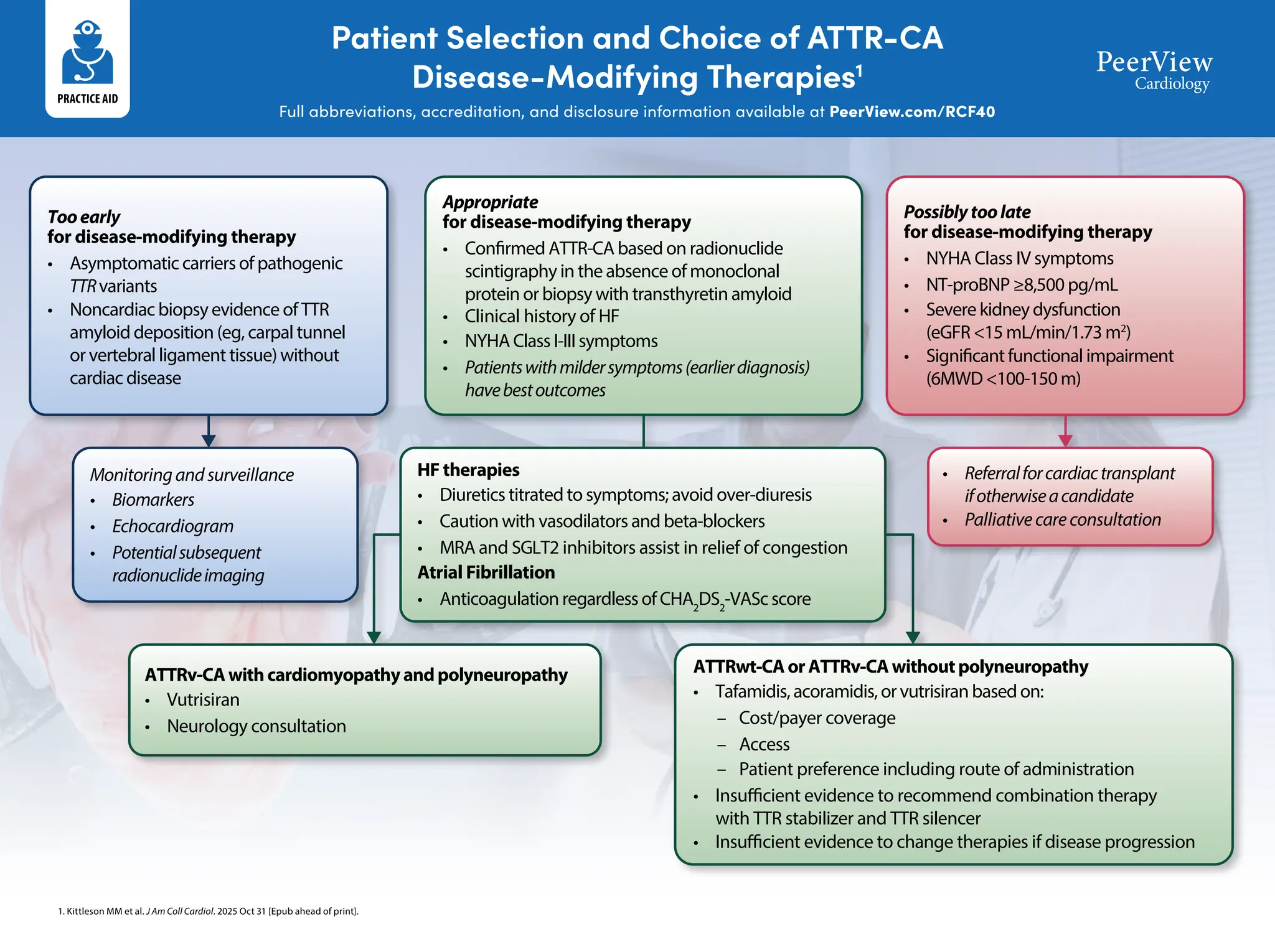 Contemporary Insights on Diagnosing and Treating Transthyretin Cardiac ...
