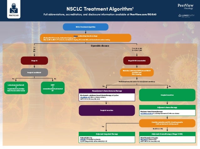 Gaining an Advantage Over NSCLC: How to Achieve the Greatest Benefit ...
