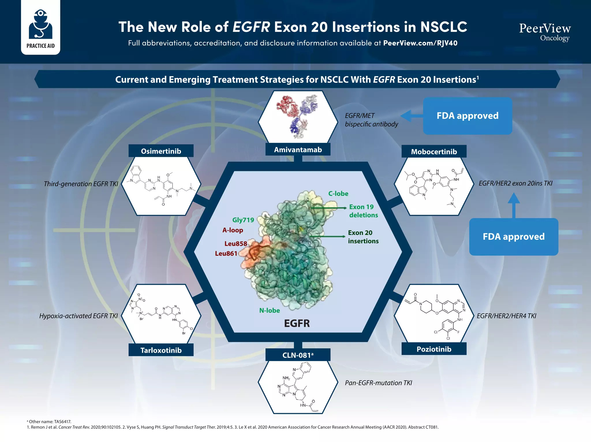 Refining Biomarker Testing and Targeted Treatment of NSCLC With Common ...