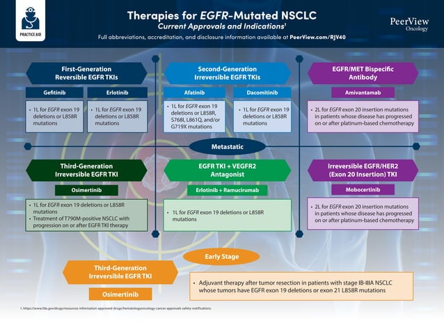 Refining Biomarker Testing and Targeted Treatment of NSCLC With Common ...