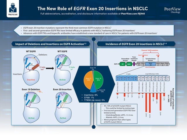Refining Biomarker Testing and Targeted Treatment of NSCLC With Common ...
