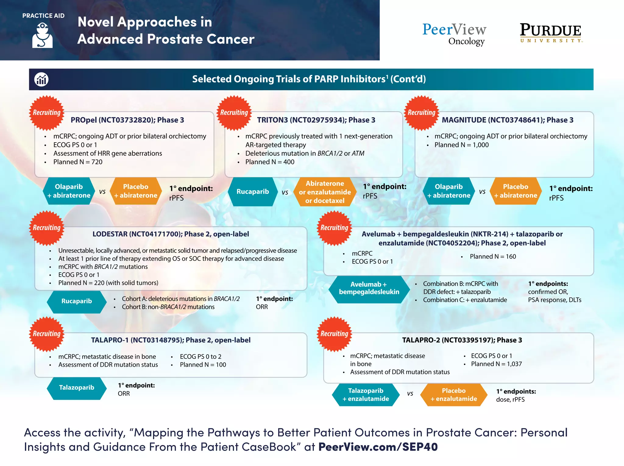 Mapping the Pathways to Better Patient Outcomes in Prostate Cancer ...