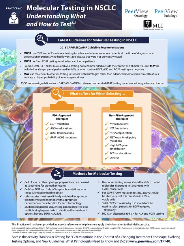 Molecular Testing for EGFR Mutations in the Context of a Changing ...
