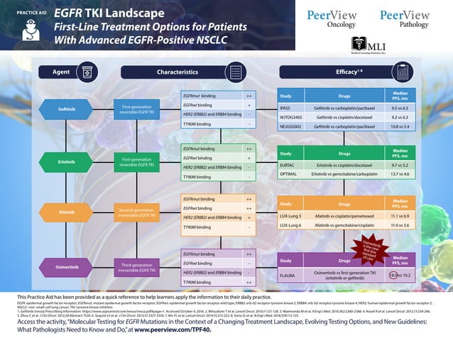 Molecular Testing for EGFR Mutations in the Context of a Changing ...