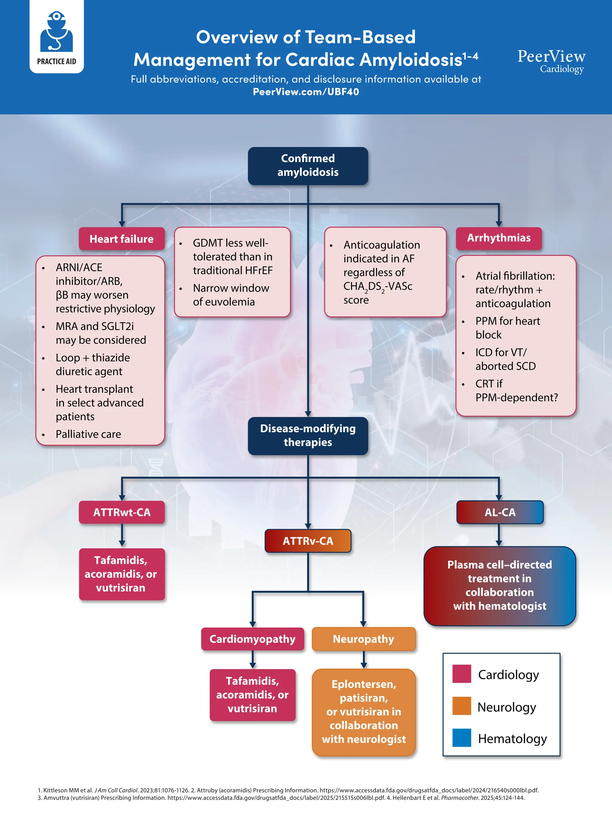 Exploring New Paradigms in Transthyretin Cardiac Amyloidosis Care ...