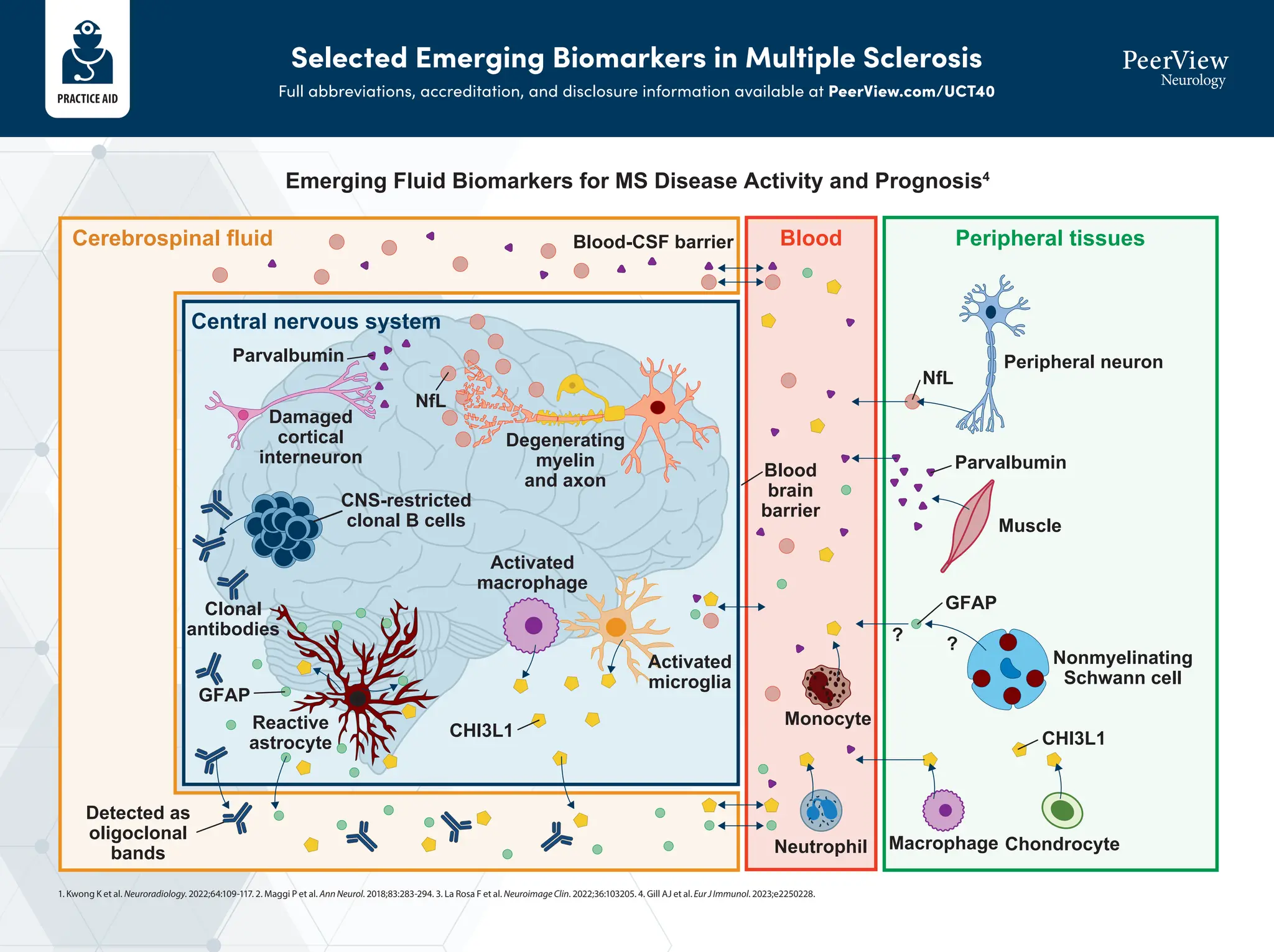 Taking a Closer Look at Each Patient: Exploring Novel Biomarker and ...