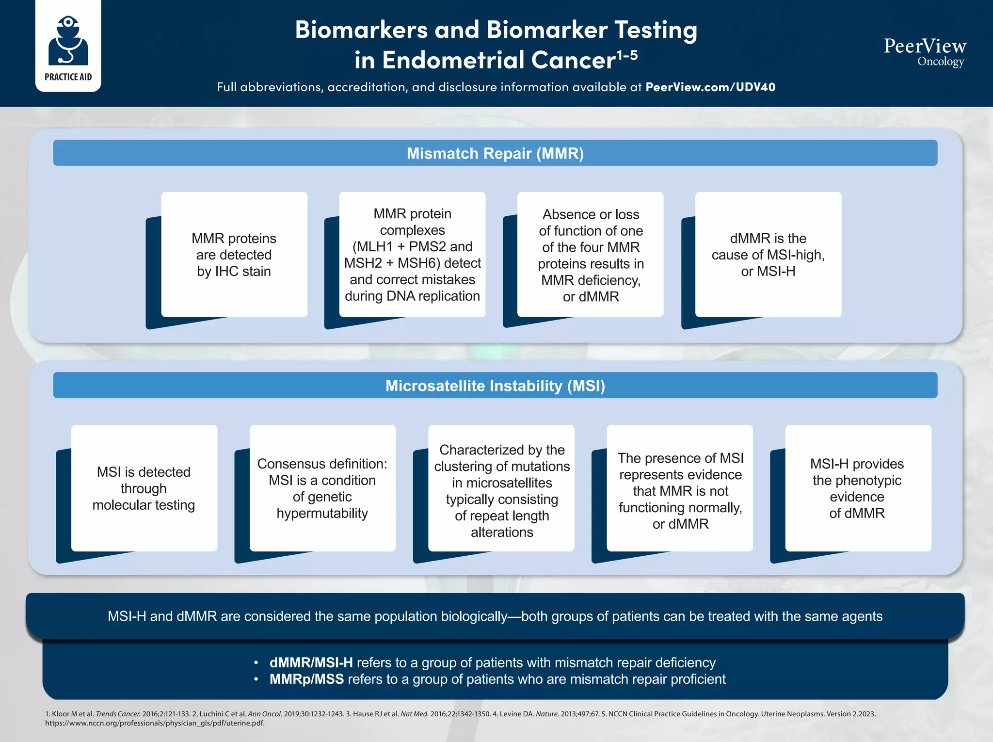 Endometrial Cancer Care in the Age of Immunotherapy: Translating ...