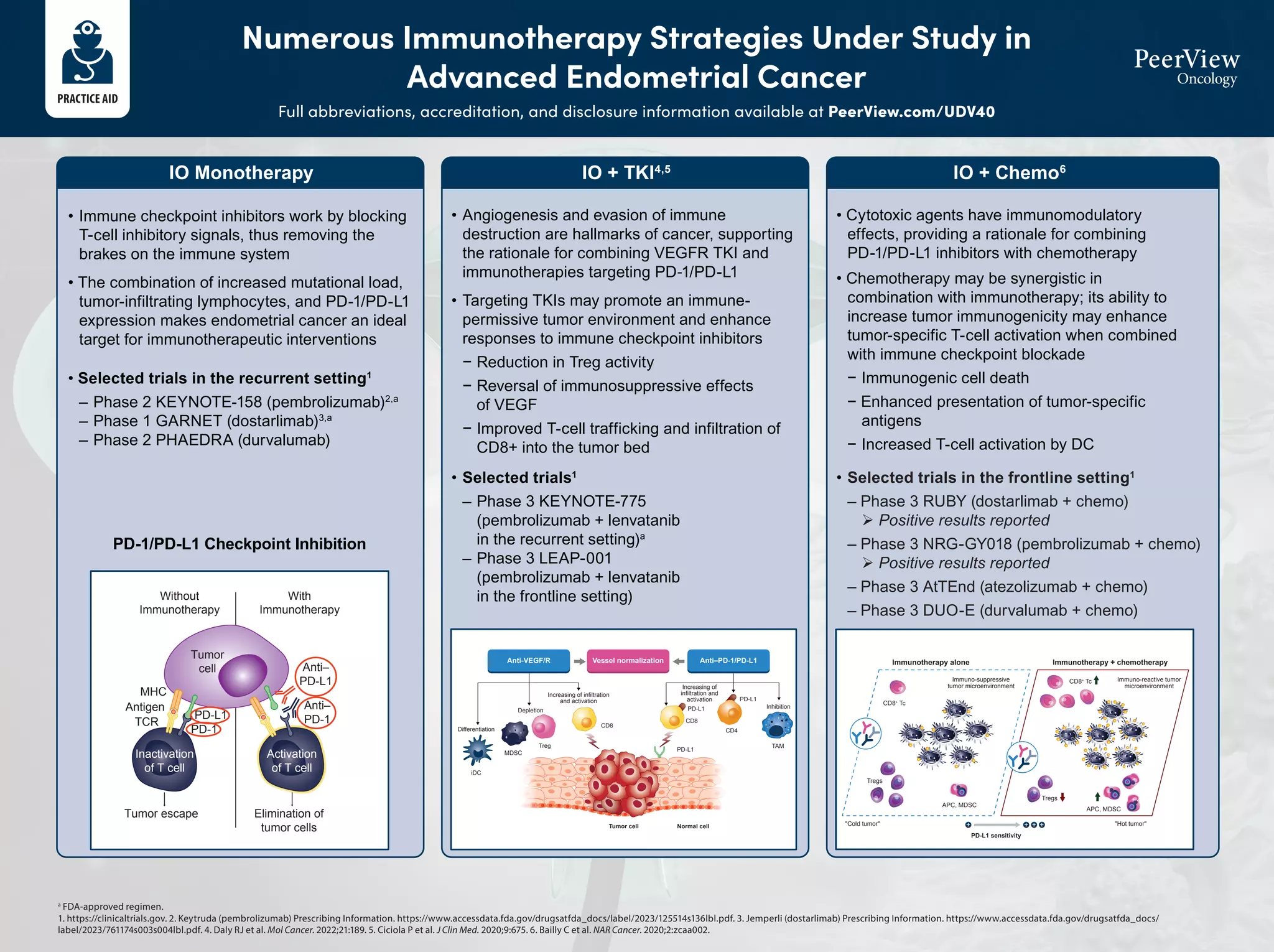 Endometrial Cancer Care in the Age of Immunotherapy: Translating ...