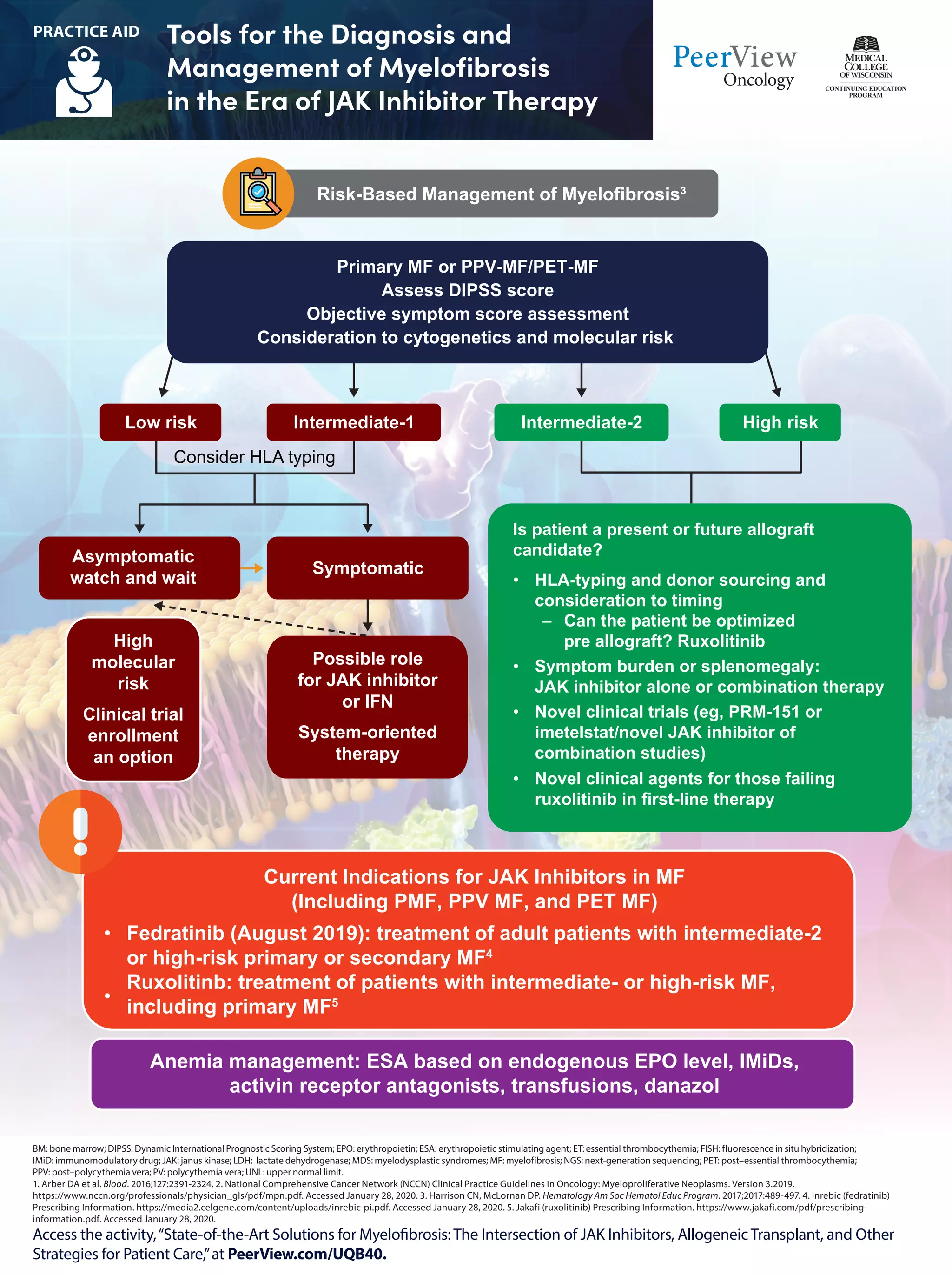 State-of-the-Art Solutions for Myelofibrosis: The Intersection of JAK ...