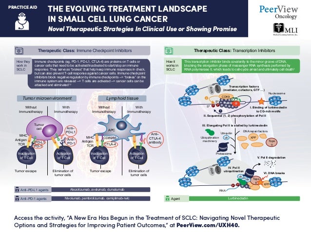 A New Era Has Begun in the Treatment of SCLC: Navigating Novel Therap…