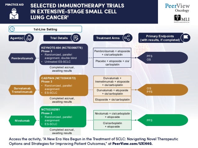 A New Era Has Begun in the Treatment of SCLC: Navigating Novel Therap…