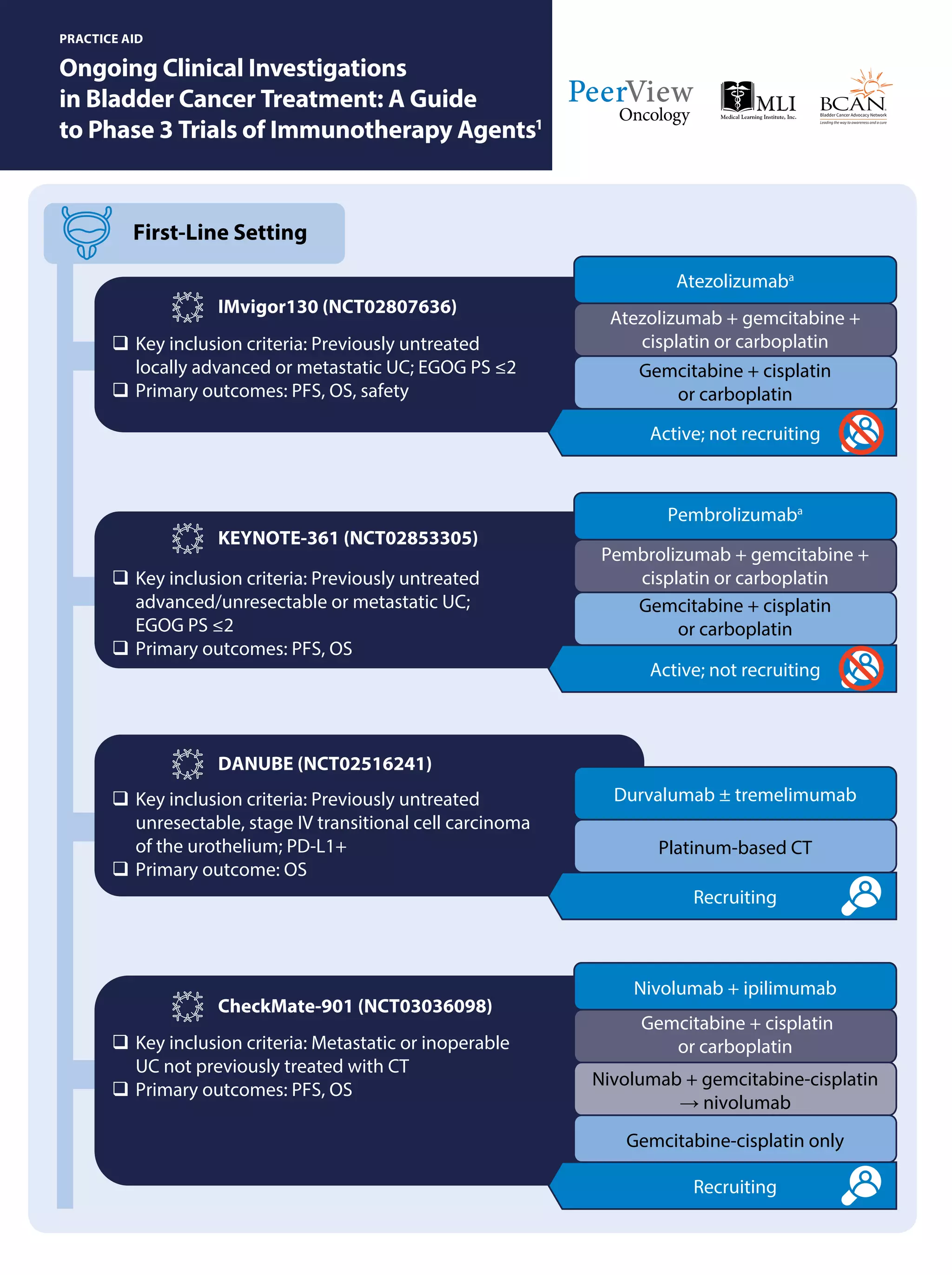 Keeping Pace With Immunotherapy Advances in Bladder Cancer: Tools for ...