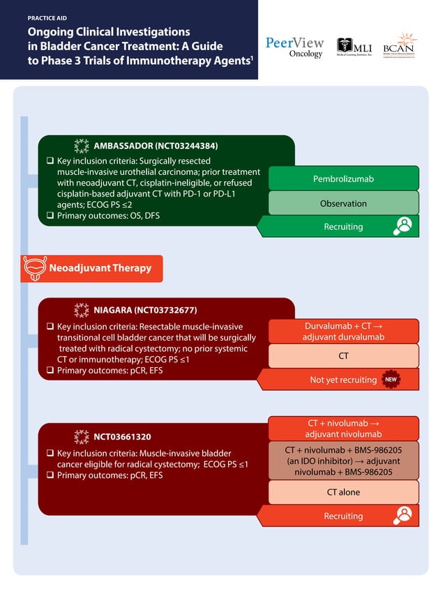 Keeping Pace With Immunotherapy Advances in Bladder Cancer: Tools for ...
