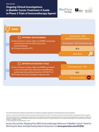 Keeping Pace With Immunotherapy Advances in Bladder Cancer: Tools for ...