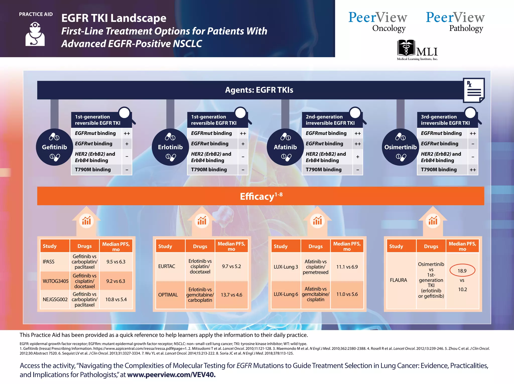 Navigating the Complexities of Molecular Testing for EGFR Mutations to ...