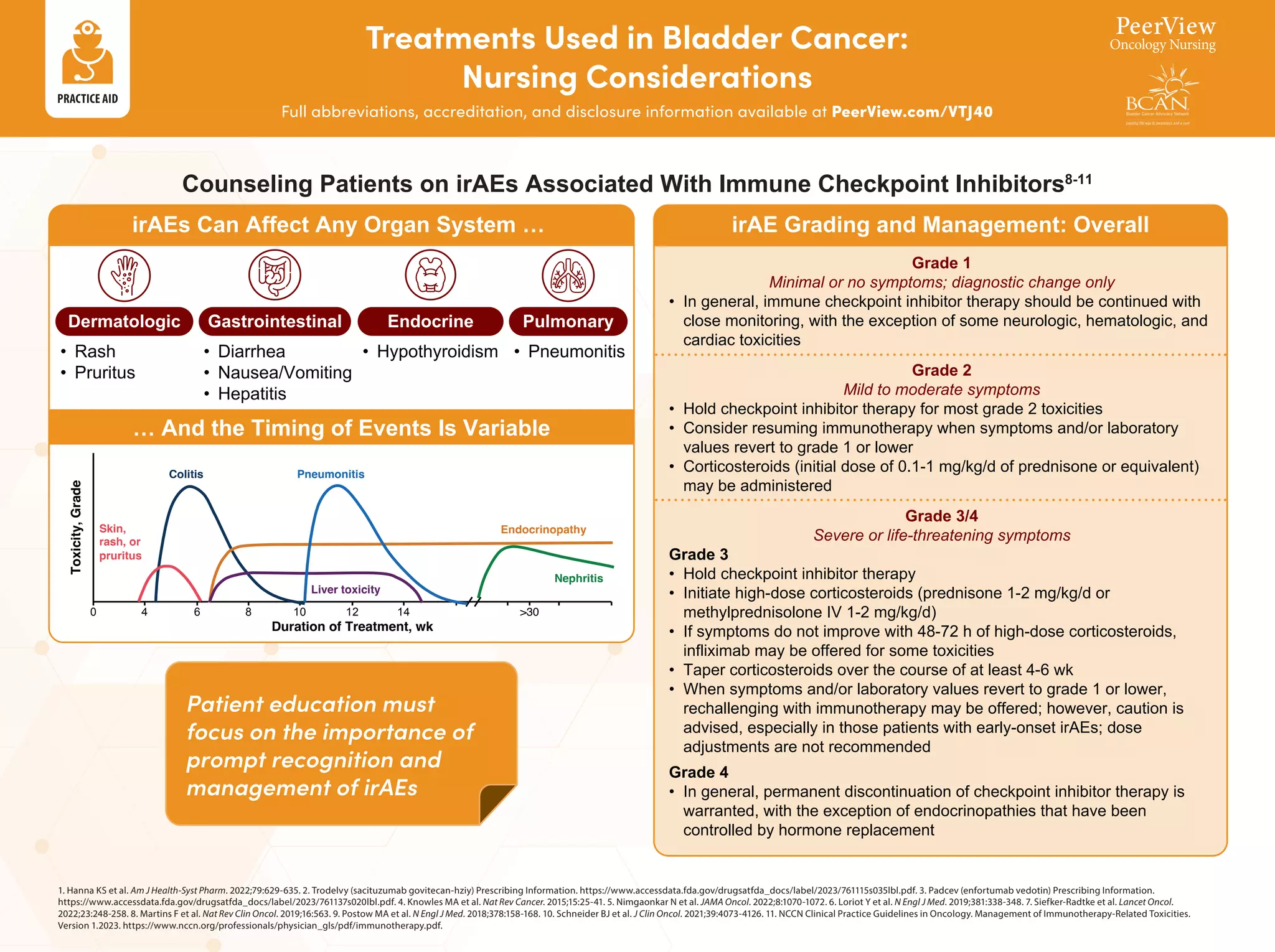 Meeting Patient Needs Through Optimal Nursing Strategies in Personalized Bladder Cancer Care | PDF