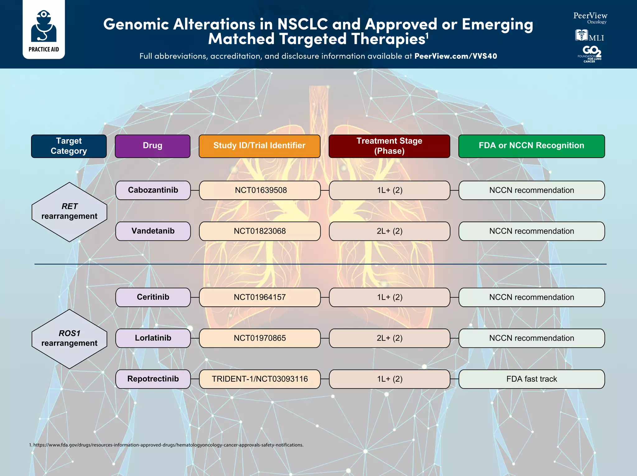 Everything You Need to Know About Molecular Testing and Targeted ...