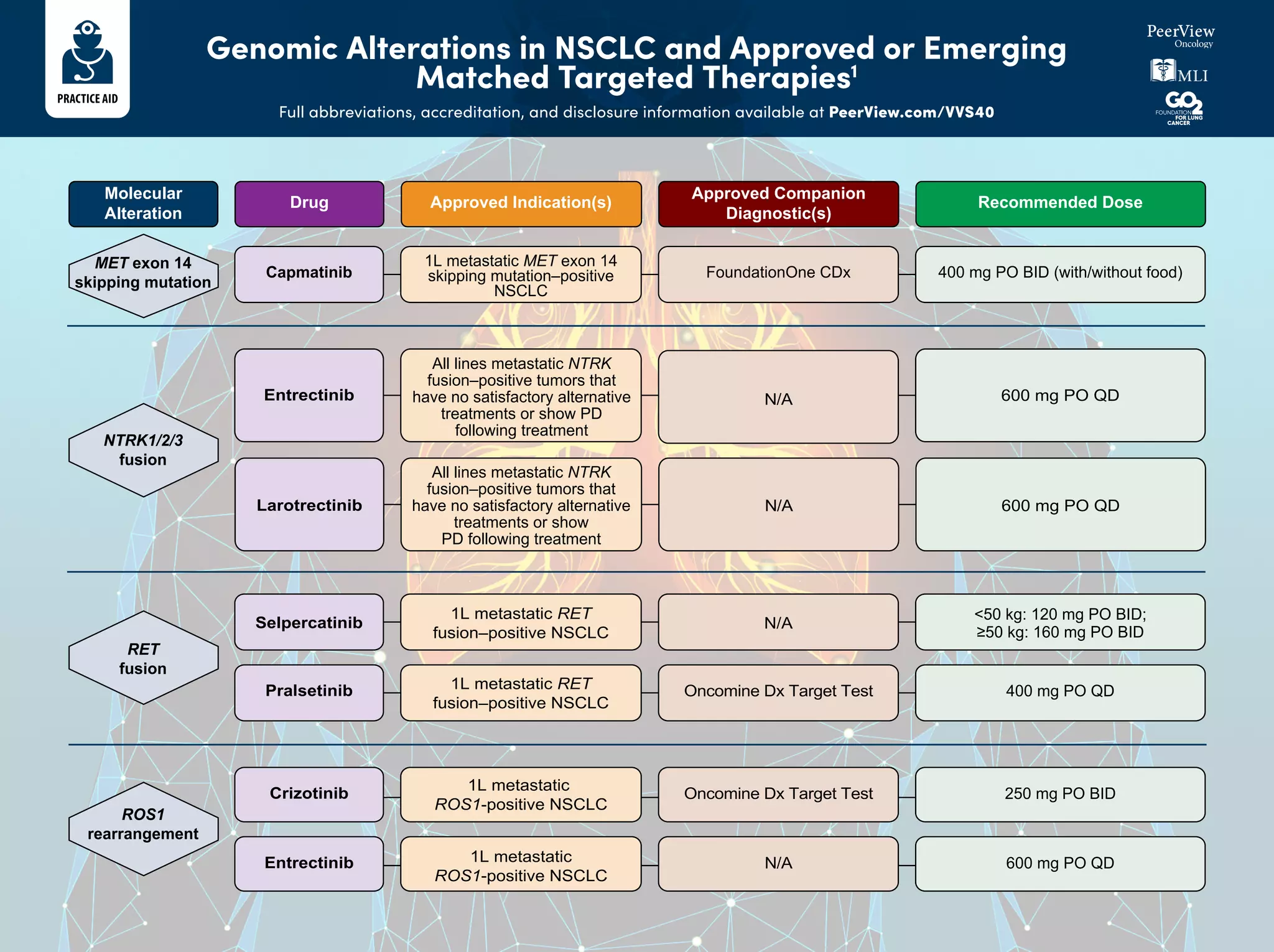 Everything You Need to Know About Molecular Testing and Targeted ...
