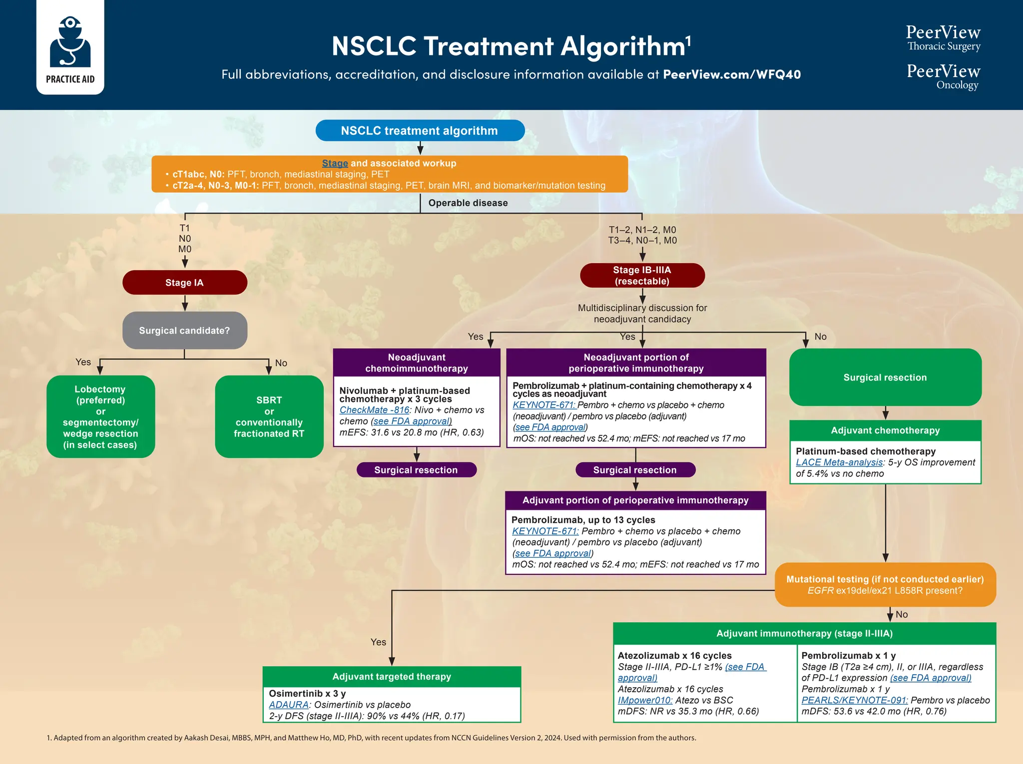 Transforming Care and Outcomes With Immunotherapy in Stage I-III ...