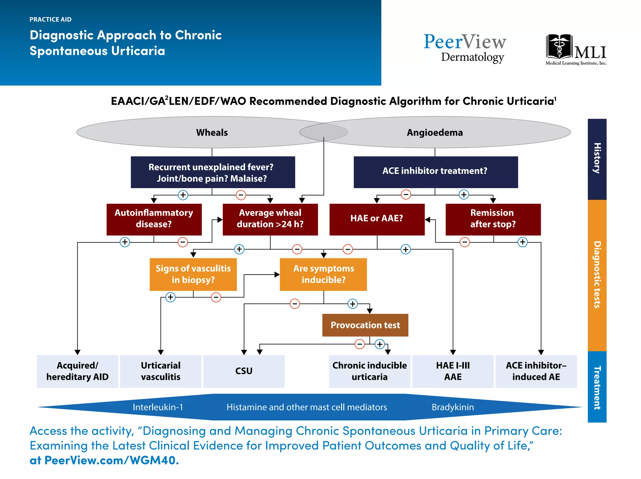 Diagnosing and Managing Chronic Spontaneous Urticaria in Primary Care ...