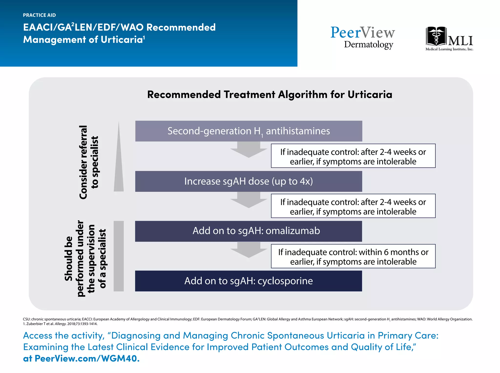 Diagnosing and Managing Chronic Spontaneous Urticaria in Primary Care ...