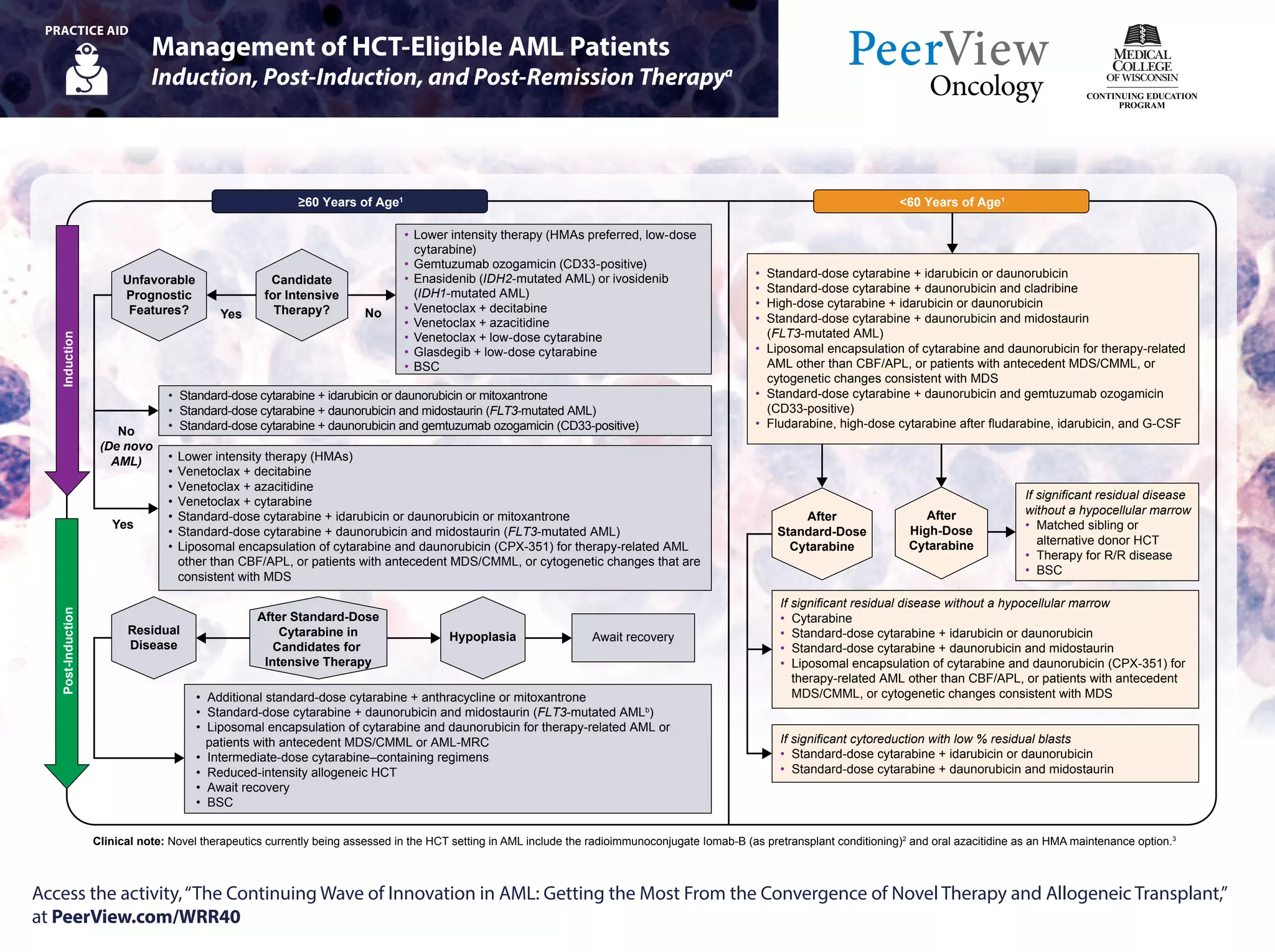The Continuing Wave of Innovation in AML: Getting the Most From the ...