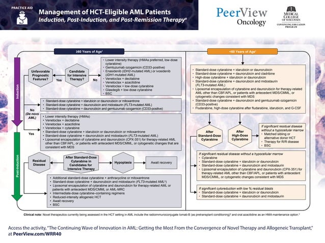 The Continuing Wave of Innovation in AML: Getting the Most From the ...