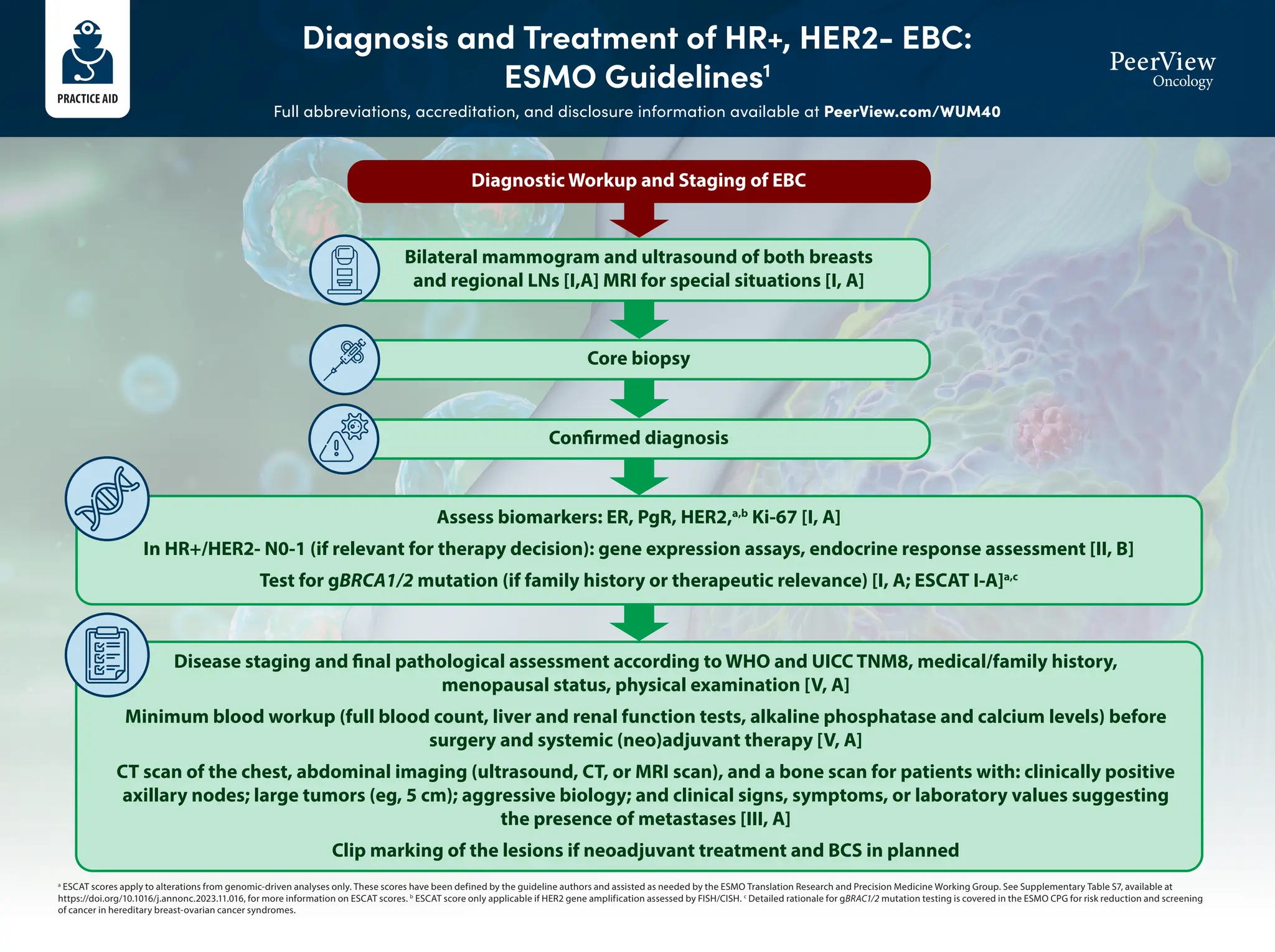 Safeguarding Patients With HR+, HER2-, High-Risk, Early Breast Cancer: A Practical Roadmap for ...