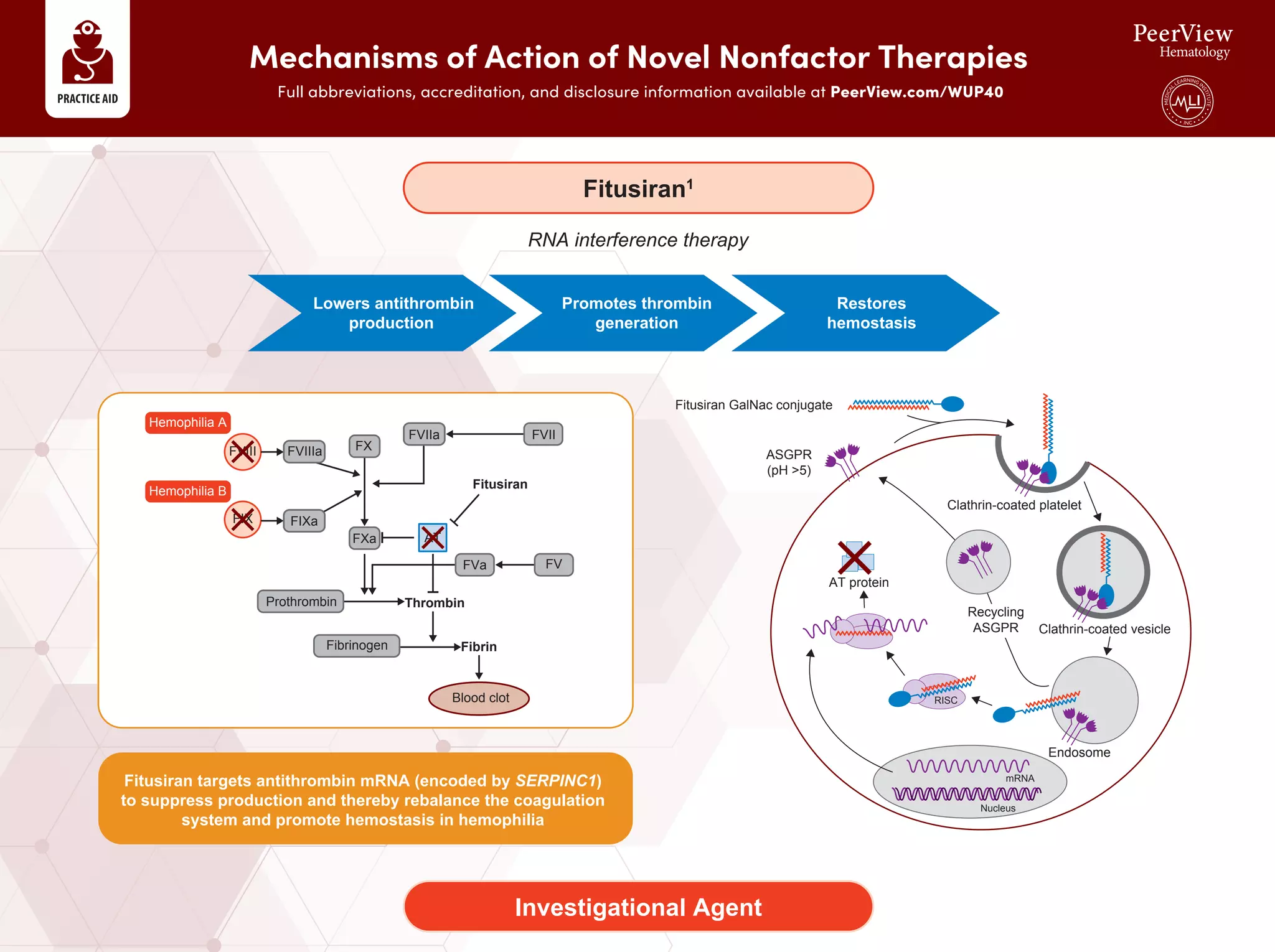 Envisioning the Future of Emerging Nonfactor Therapies in Hemophilia A ...
