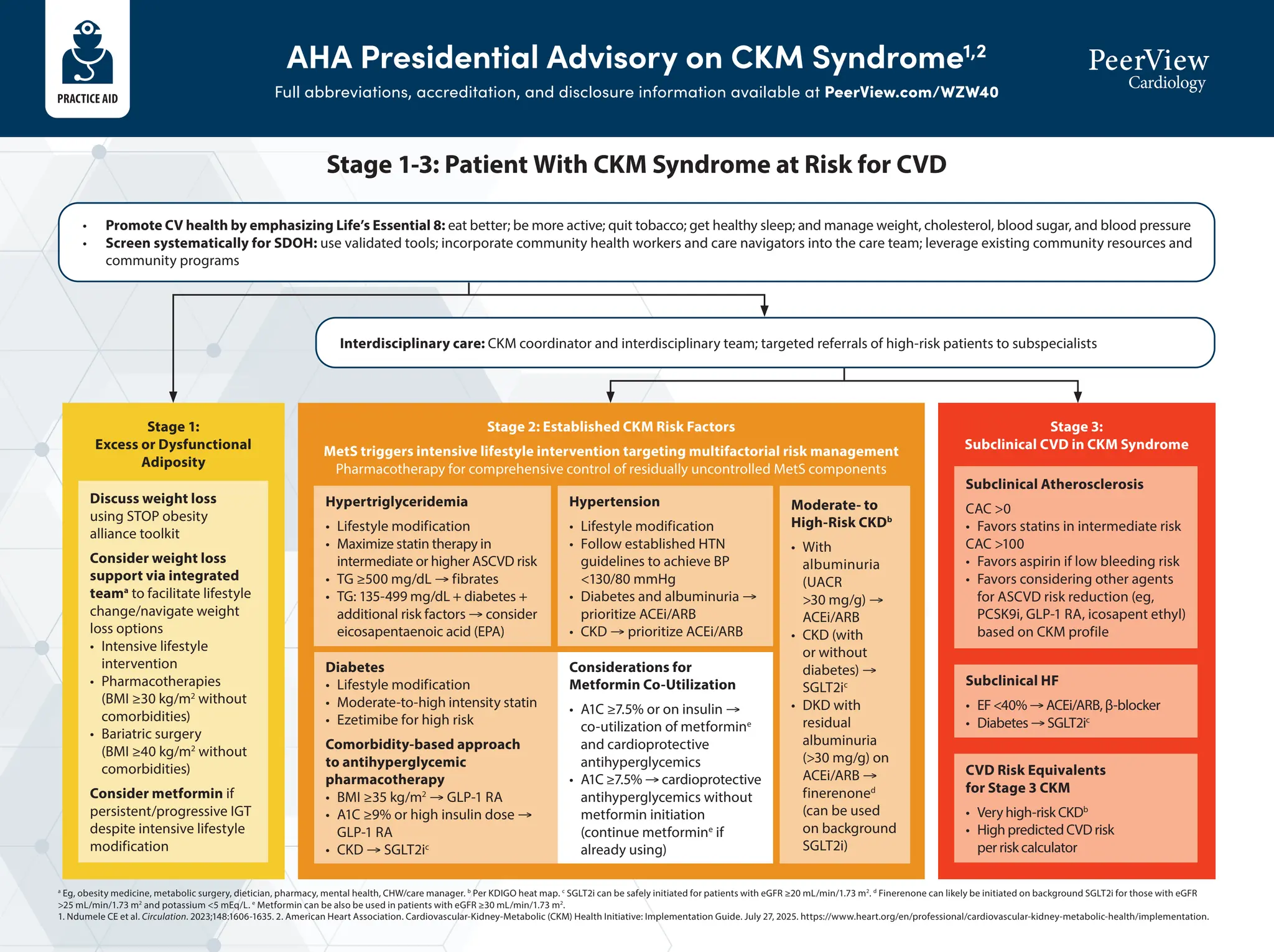 Guiding Patients Through Cardio-Renal-Metabolic Conditions: The ...