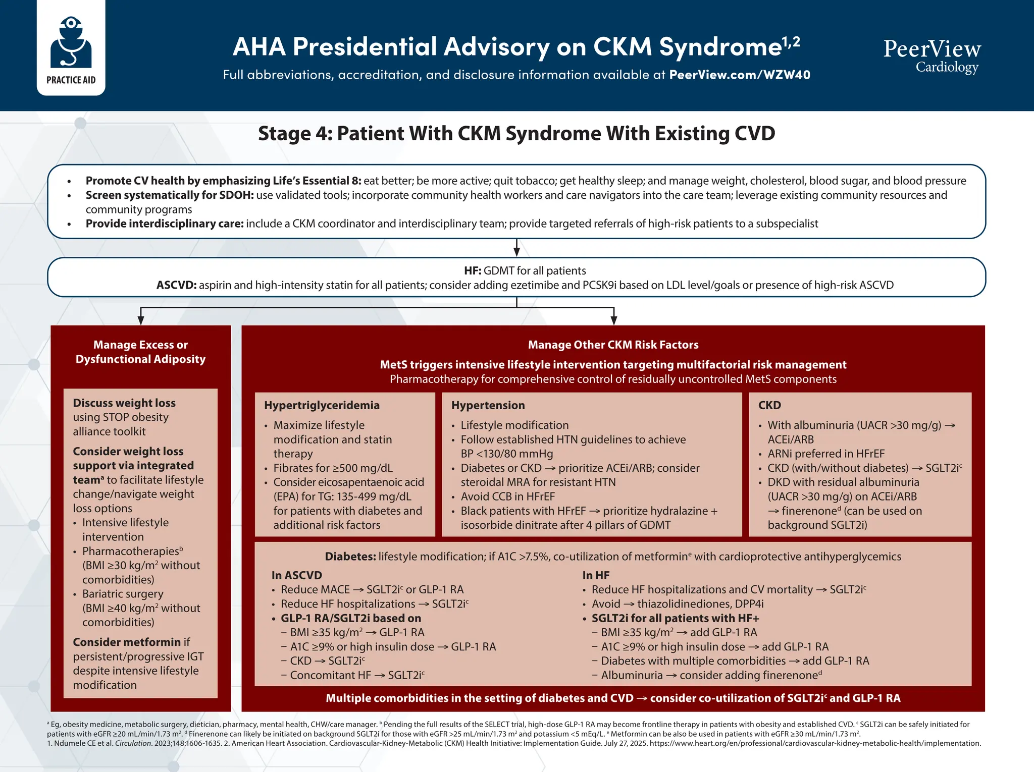 Guiding Patients Through Cardio-Renal-Metabolic Conditions: The ...