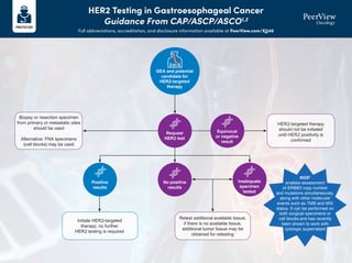 Fortifying the Framework for HER2+ GI Cancers: Precision Treatment ...