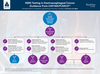 Fortifying the Framework for HER2+ GI Cancers: Precision Treatment ...