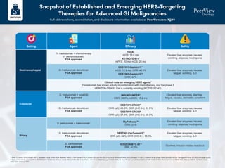 Fortifying the Framework for HER2+ GI Cancers: Precision Treatment ...