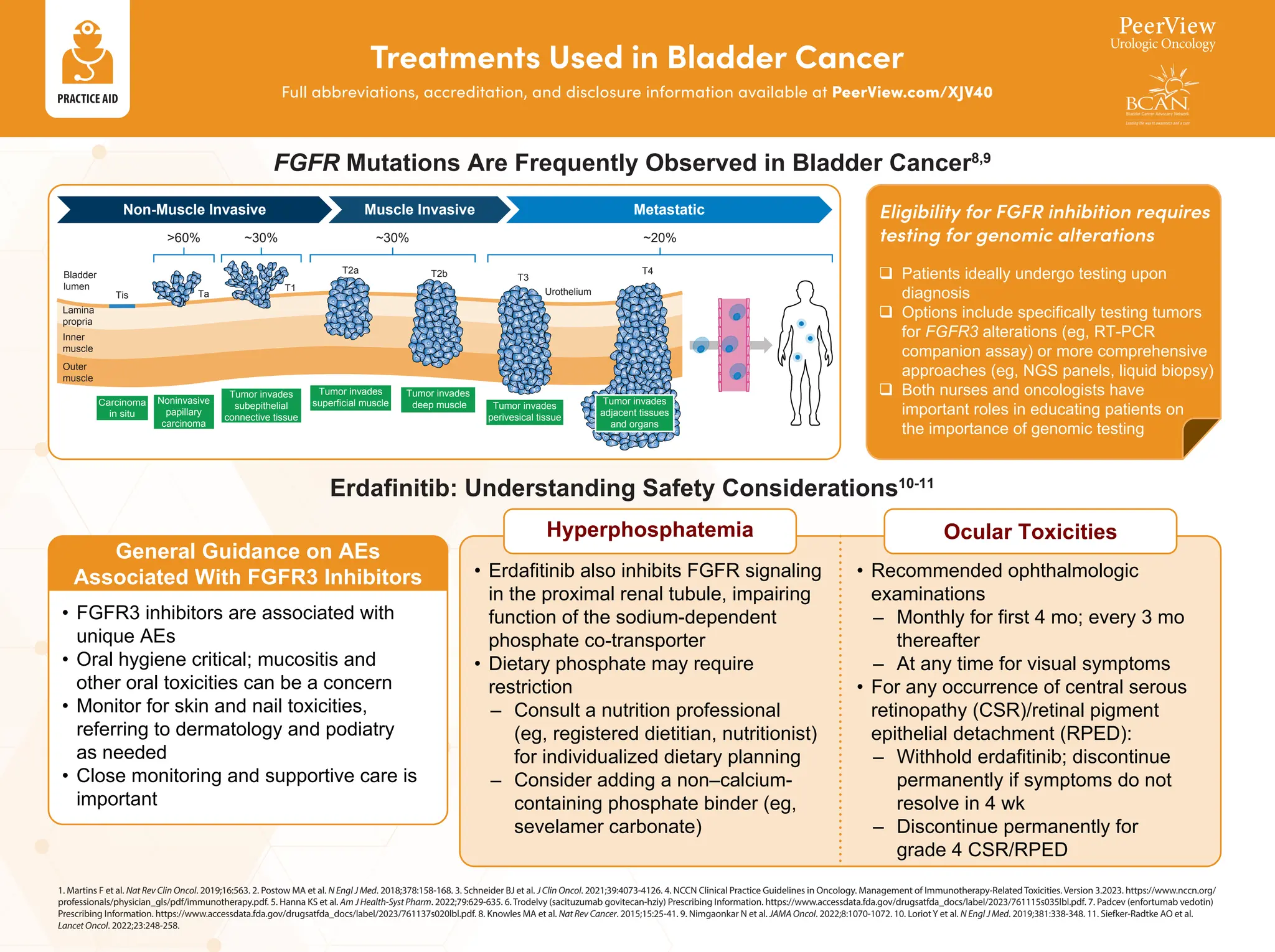 Pioneering Precision Medicine in Bladder Cancer: Multidisciplinary ...