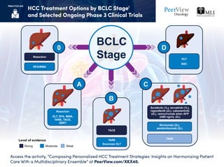 Composing Personalized HCC Treatment Strategies: Insights on ...