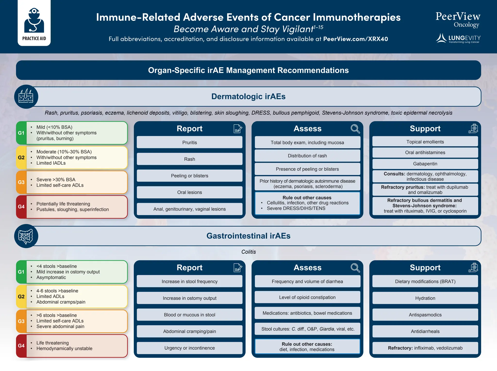 Making Patient-Centric Immunotherapy a Reality in Lung Cancer: Best ...