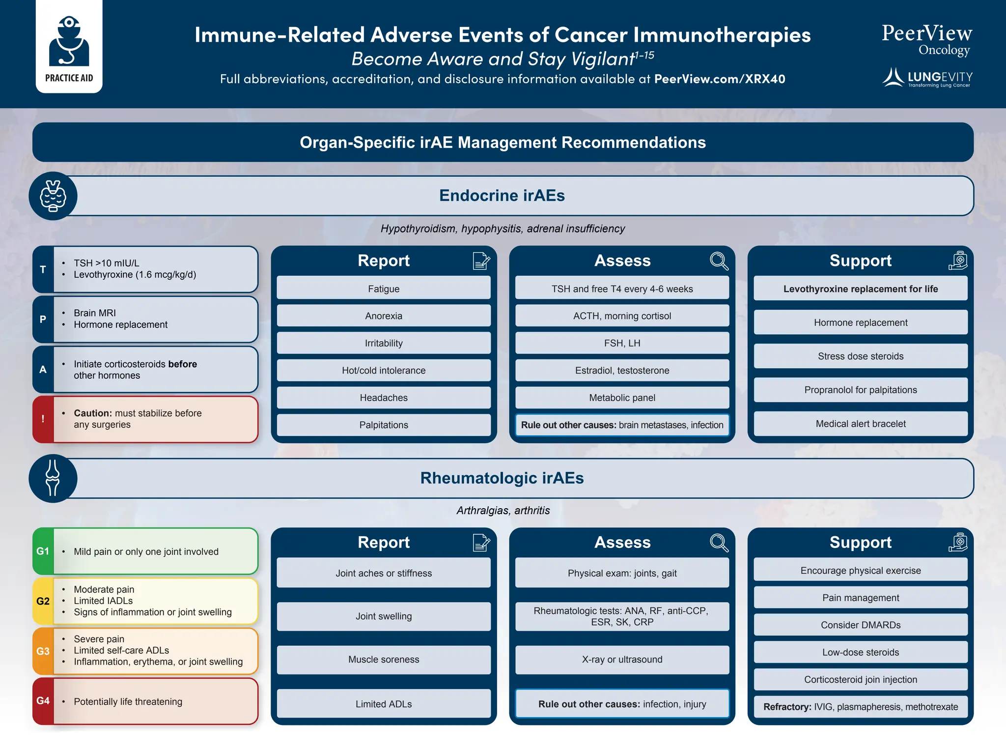 Making Patient-Centric Immunotherapy a Reality in Lung Cancer: Best ...