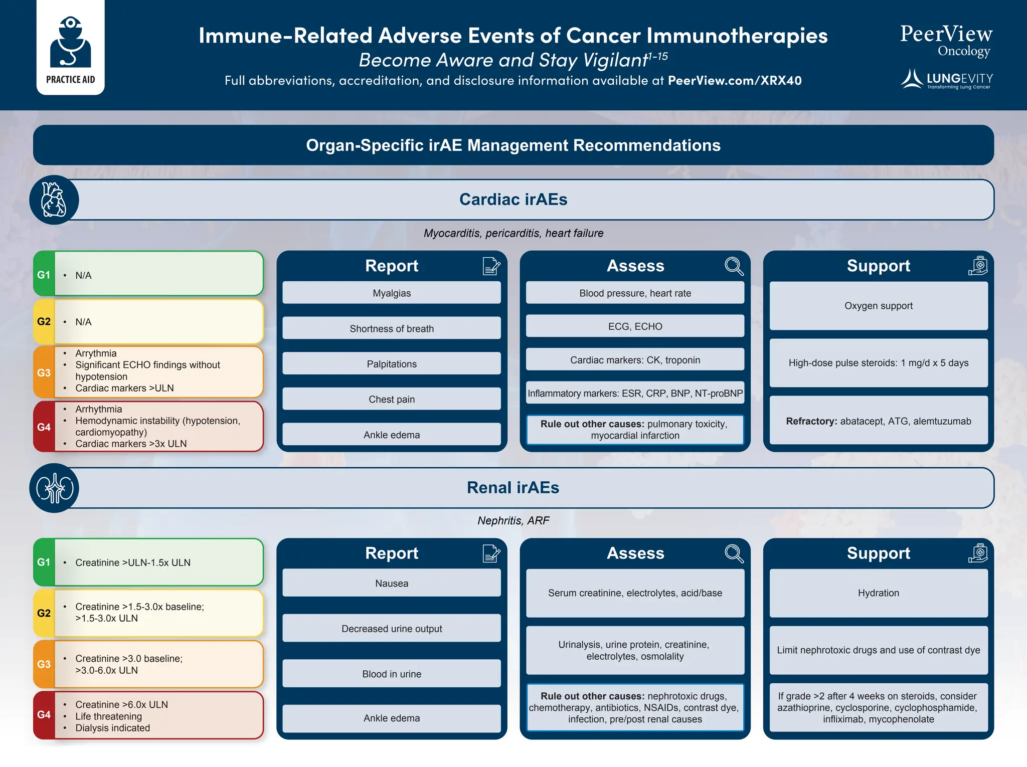Making Patient-Centric Immunotherapy a Reality in Lung Cancer: Best ...