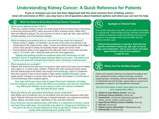 Advancing Personalized Care in RCC: Navigating Rapid Therapeutic ...