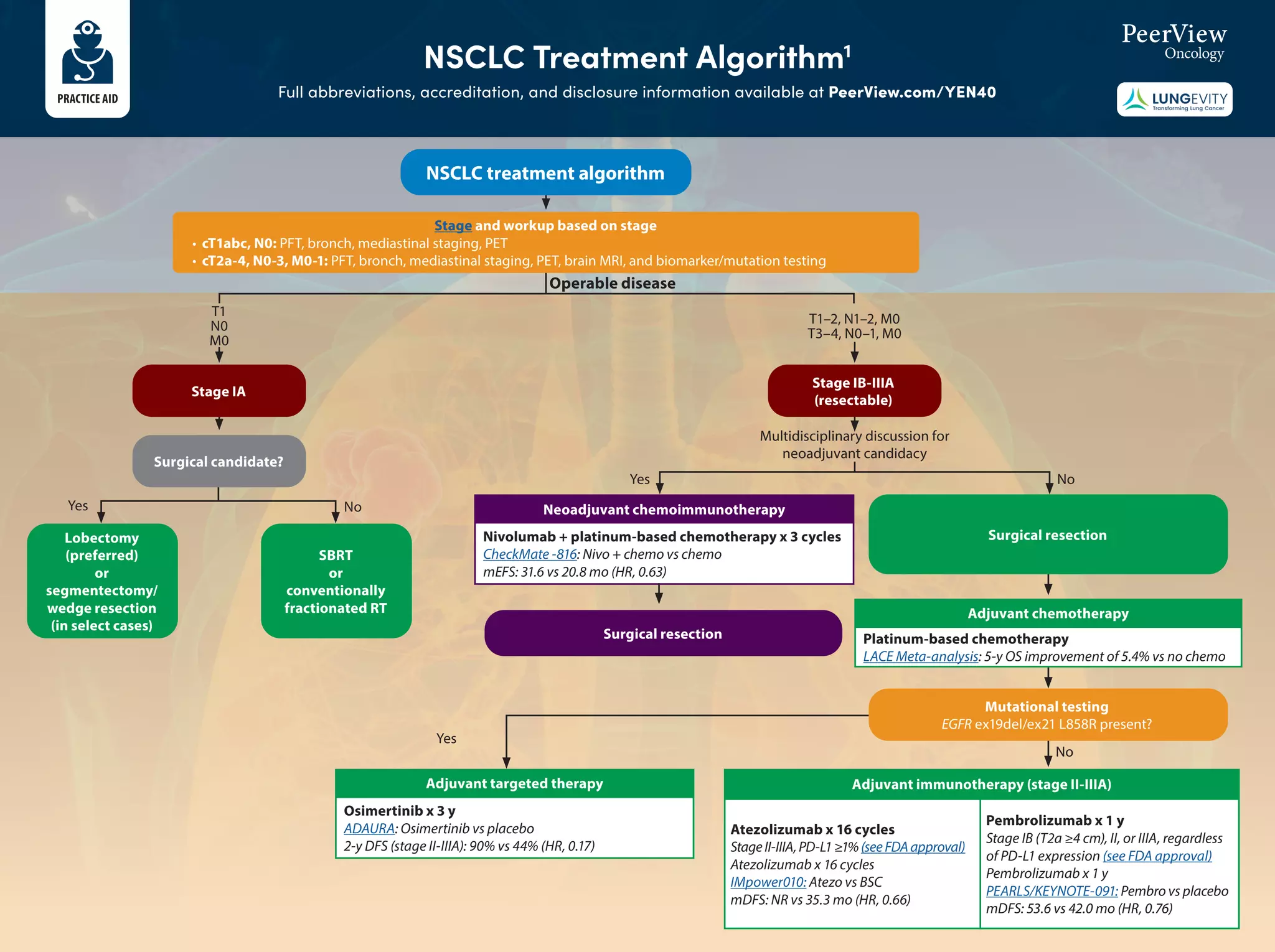 Amplifying the ADC Advantage: How to Fulfill the Potential of Antibody ...