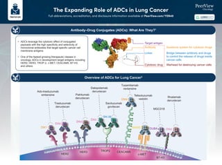 Amplifying the ADC Advantage: How to Fulfill the Potential of Antibody ...